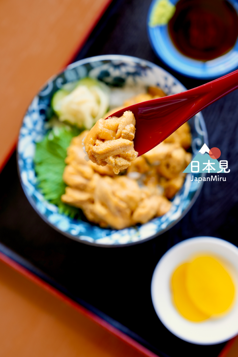 【2023青森自由行】 平過築地！青森海邊小屋 $154大啖海膽＋帆立貝丼 - 日本見JapanMiru